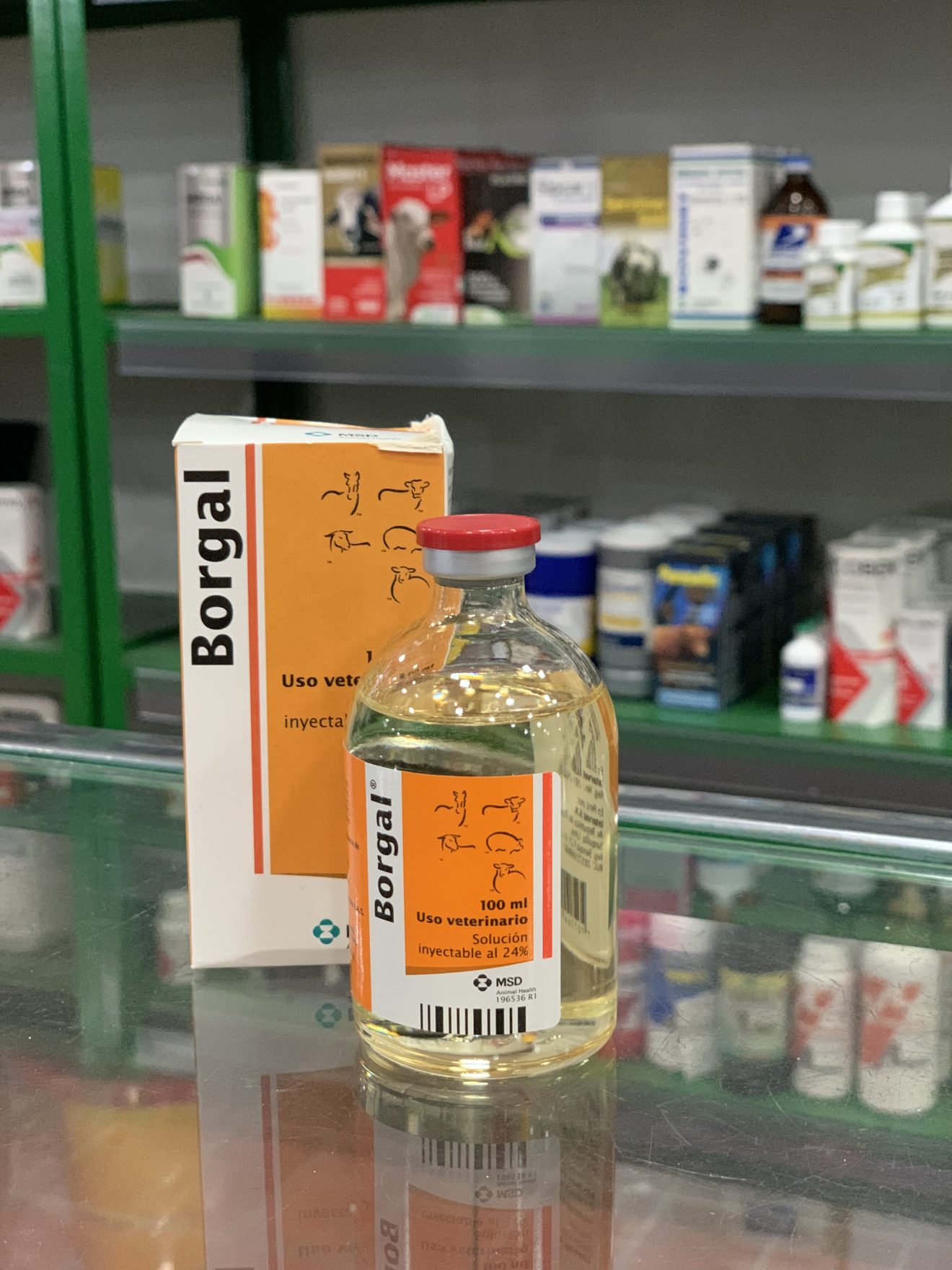 BORGAL 24% INYECTABLE X 100 ML. – Proseagro