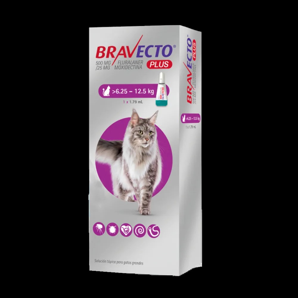 BRAVECTO PLUS GATO 500/25MG 6.25-12.5 KG – Proseagro