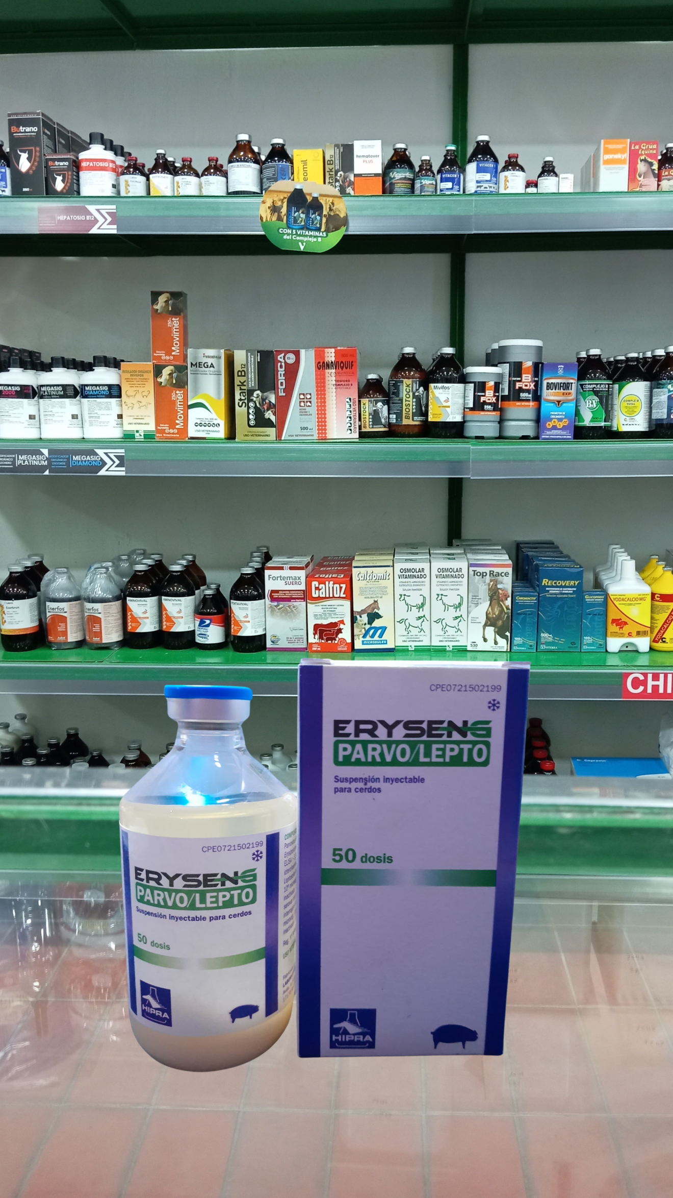 ERYSENG PARVO/LEPTO X 50 DOSIS. HIPRA – Proseagro